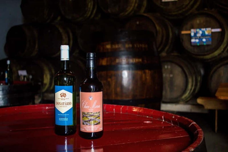Private Terceira Island Caves: Lava Route - entrances & wine - A Day in the Landscape: What to Expect