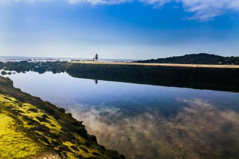 Private Terceira Island Half-Day: Enchanted Bays + tasting - The Complete Experience: An Impeccably Balanced Tour