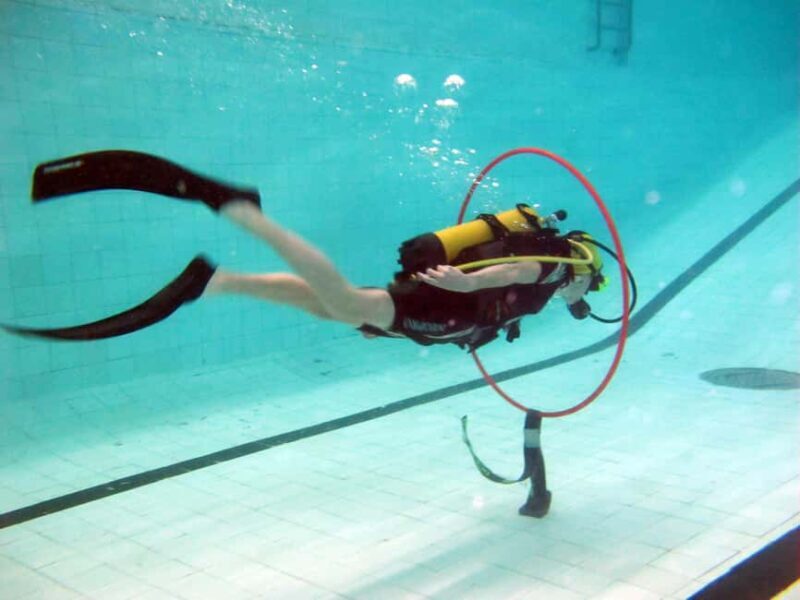 Private: The Great Barrier & Coral Garden Scuba Dive Tour - An In-Depth Look at What This Tour Offers