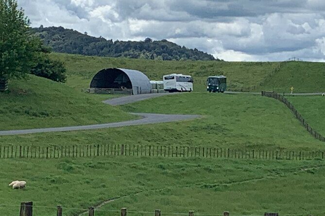 Private The Hobbiton Tour - Auckland Tour House - Final Thoughts