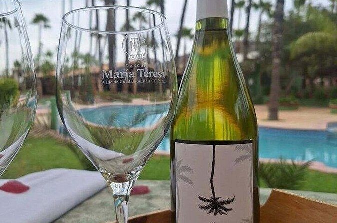 Private Therapeutic Massage Experience in Valle de Guadalupe - Who Should Consider This Tour?