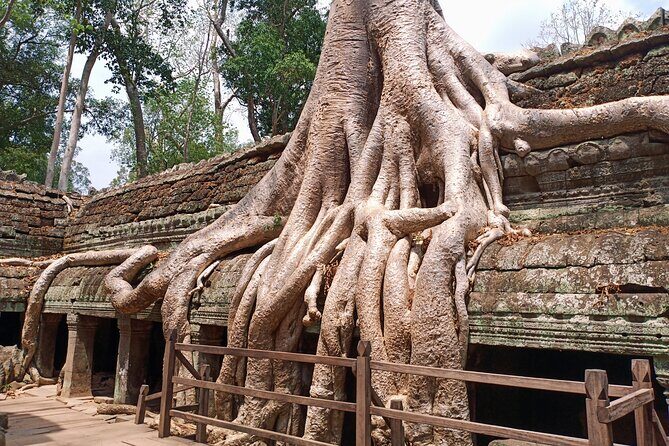 Private Three Day Trip in Siem Reap - What Makes This Tour Stand Out