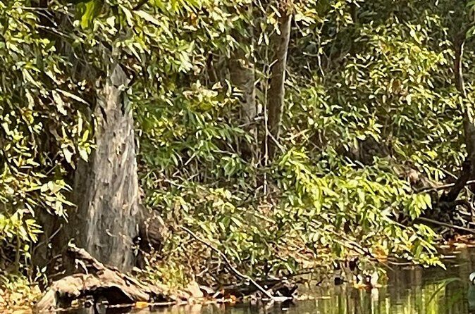 Private tiger watching in Panna National Park of Khajuraho - The Value of a Private Tour