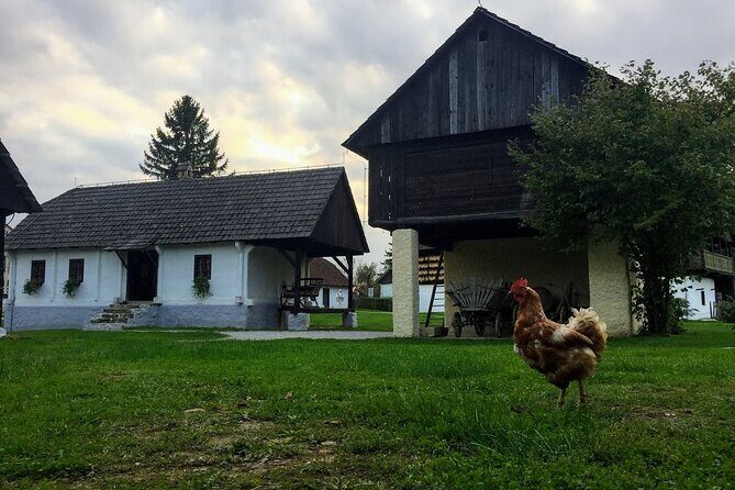Private Tito's Village tour in Old-Timer Yugo car - Key Points