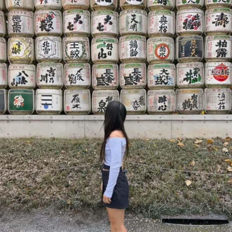 Private Tokyo City Tour English Guide Hotel Return Transfer - Analyzing the Price and Value