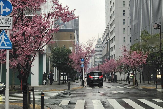 Private Tokyo City tour With English Speaking guide - Exploring Tokyo in a Day: A Detailed Look at the Private Guided Tour