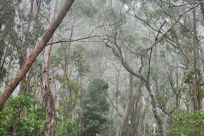 Private Tokyo City tour With English Speaking guide - FAQs