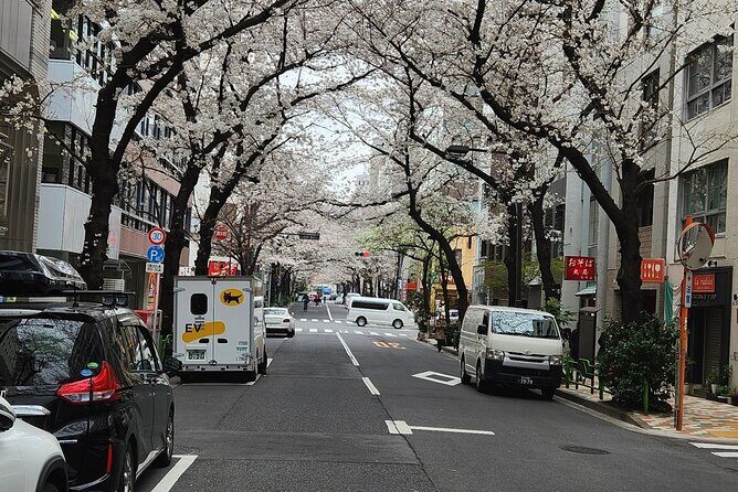 Private Tokyo City tour With English Speaking guide - Final Thoughts