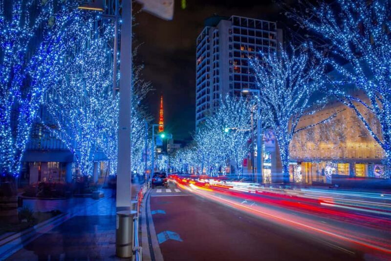 Private Tokyo Holiday Lights & Christmas Market Walk - A Sparkling Tour of Tokyo’s Festive Lights and Markets