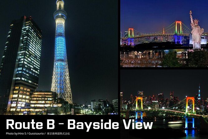 Private Tokyo Night Time Sightseeing Ride 3 Scenic Route Options - A Closer Look at What to Expect
