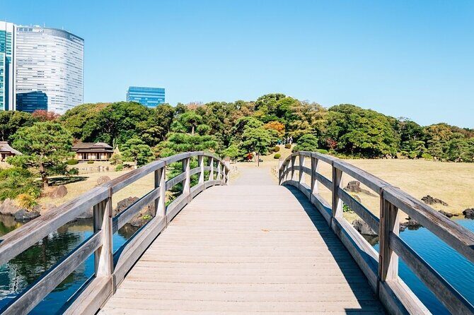 Private Tokyo Night Tour with English Speaking Driver - Key Points