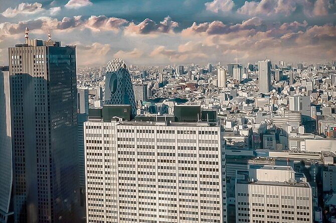 Private Tokyo Shinjuku Bus Tour with Licensed Guide - The Practicalities: Price, Timing, and Comfort