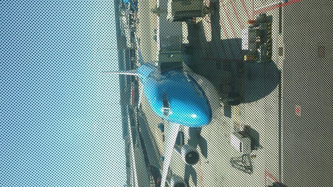 Private Tokyo Tour guide Japanese disco, clubs. Dancing any where translate. - Who Is This Tour Best For?