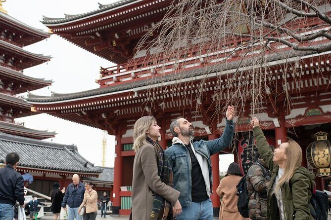 Private Tokyo Tour with a Local Guide: Tailored to Your Interests - Key Points