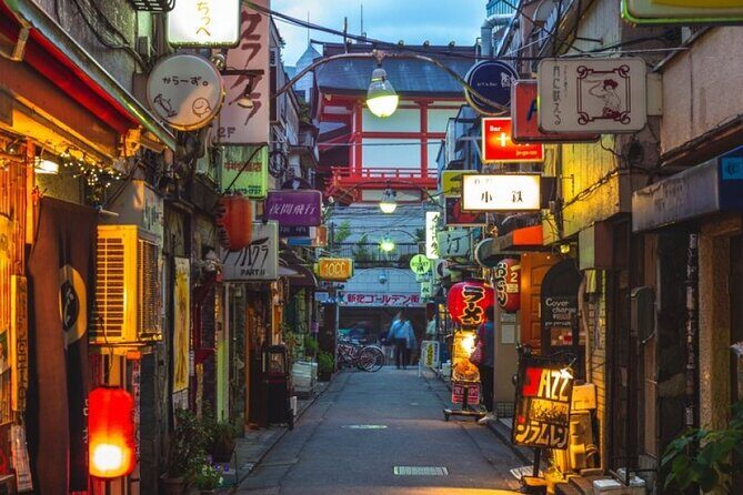 Private Tokyo Tour with English Speaking Guide - Who Will Benefit Most?