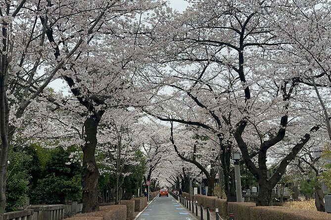 Private Tokyo Tour with Japanese Local Guide - Exploring Tokyo with a Private Local Guide: A Practical, Authentic Journey