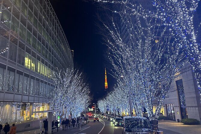 Private Tokyo Tour with Japanese Local Guide - Pricing and What You’re Getting