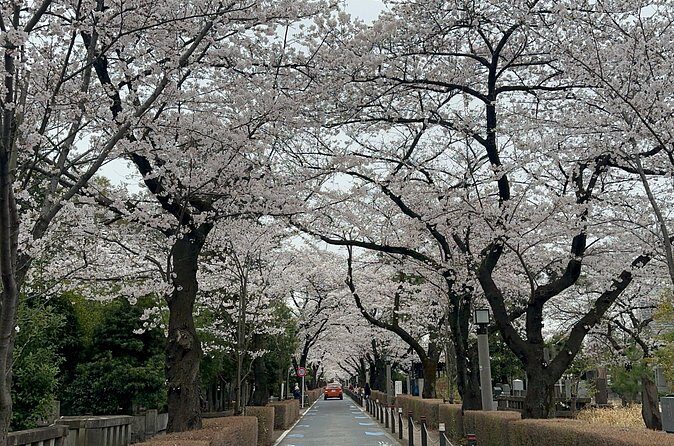 Private Tokyo Tour with Japanese Local Guide - Real Traveler Insights