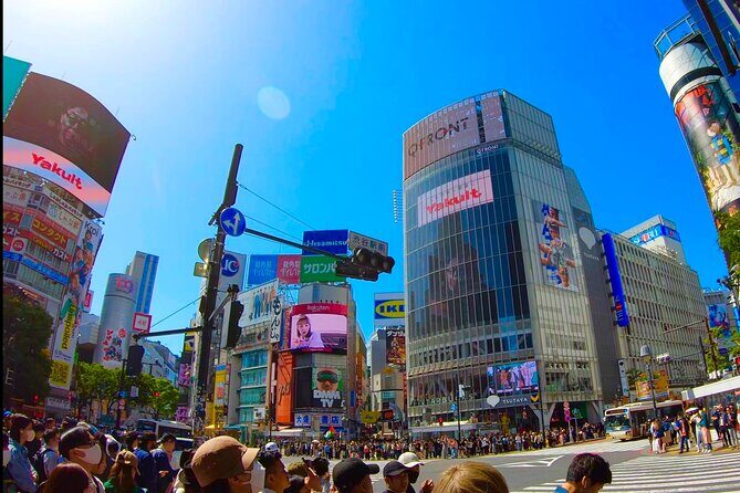 Private Tokyo Walk with Young Local /Photo Gift /Only Group Fee - Who Would Love This Tour?