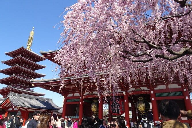 Private Tokyo with Exceptional Guide Tailored to Your Needs - Exploring Tokyo in a Personal Way