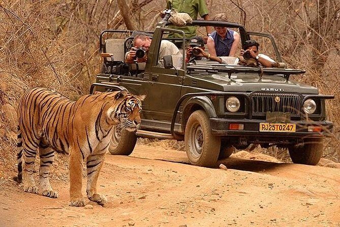 Private Tour: 2-Day Ranthambore National Park from Jaipur - Key Points