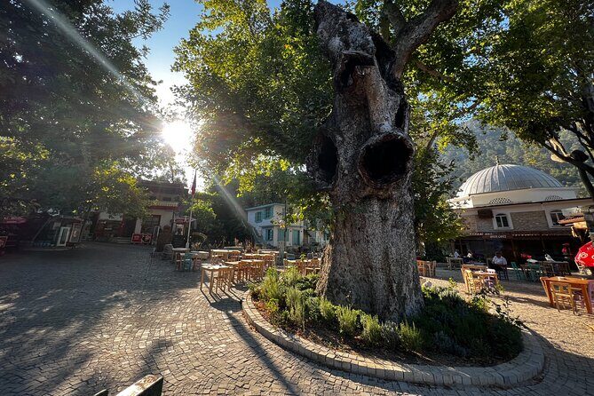 Private Tour 2,5h: Explore Hidden Gems of Marmaris and Peninsula - Final Takeaway