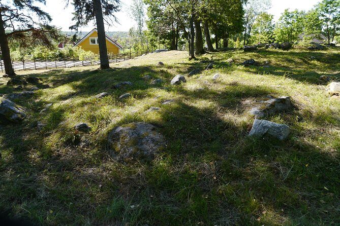 Private Tour: 3h Viking History from Stockholm to Runic Kingdom - Frequently Asked Questions