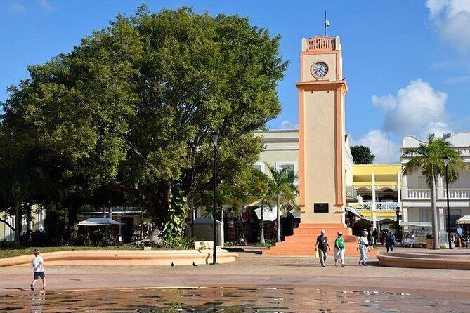 Private Tour: 5-Hour Cozumel Sightseeing with Private Driver and Tequila Tasting - Frequently Asked Questions about the Cozumel Private Tour