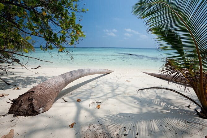 Private Tour Addu Discovery: Culture, Nature & Kayaking Adventure - Discovering Addu: A Private Introduction to a Unique Maldives City