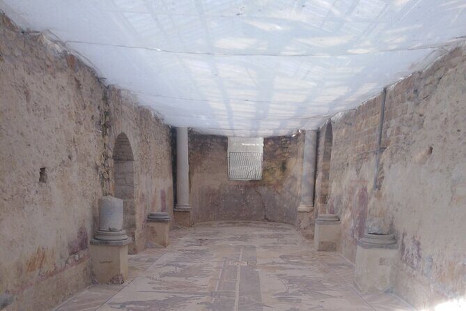 Private Tour Agrigento and Villa Romana del Casale - An In-Depth Look at the Tour Experience