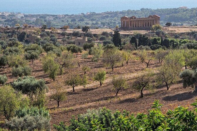 Private Tour Agrigento Valley of the Temples Park and Scala Dei Turchi - The Sum Up