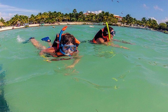 Private Tour: Akumal Marine Turtle Snorkeling and Cenote Adventure - Analyzing the Value
