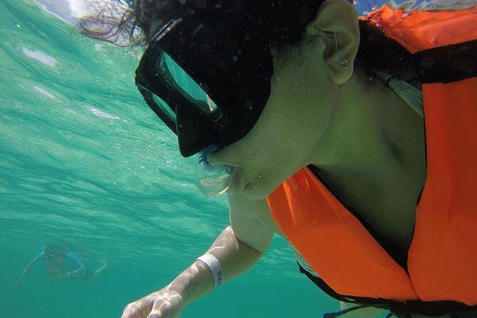 Private Tour: Akumal Marine Turtle Snorkeling and Cenote Adventure - Who Will Love This Tour?