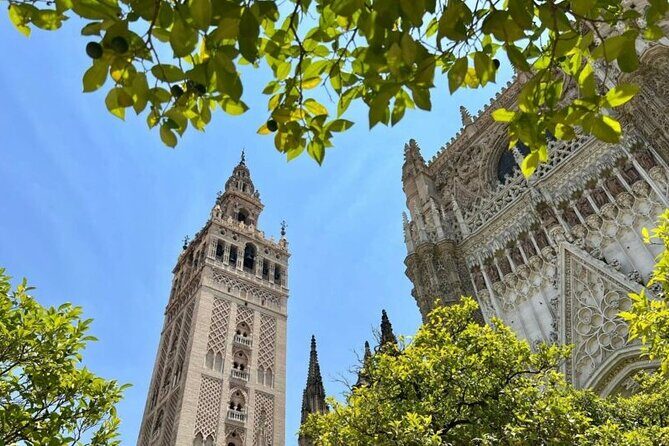 Private Tour Alcazar Seville Cathedral and Giralda Tower Climb - Analyzing the Cost and Overall Value