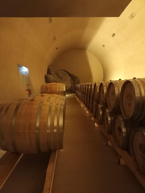 Private Tour Alentejo: Évora, WineTasting and Monsaraz - Exploring Évora: A UNESCO Jewel