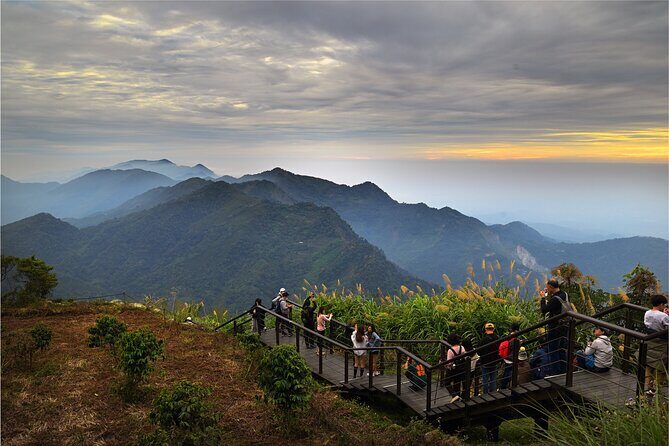 Private Tour Alishan Culture and Ecology from Kaohsiung - Authentic Experiences and Traveler Feedback