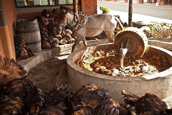 Private Tour, all inclusive: Tlacochahuaya, Mezcal, Teotitlán del Valle - Who Should Consider This Tour?
