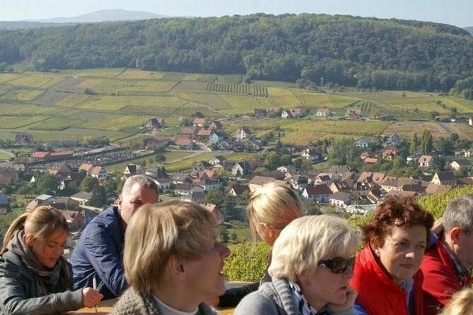 Private Tour: Alsace Villages and Wine Day Trip from Colmar - An In-Depth Look: What to Expect on this Alsace Day Tour