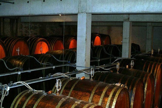 Private Tour: Alsace Wine Tasting Day Trip from Colmar - Final Thoughts: Why Choose This Tour?