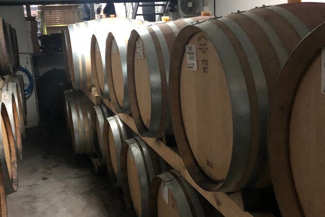 Private Tour Alvarinho (Melgaço and Monção) includes 3 wine tastings - Who Would Enjoy This Tour?