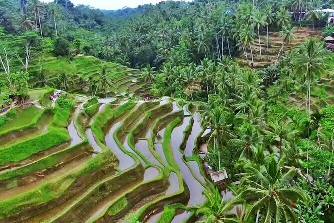 Private Tour: Amazing 3 Days Bali Sightseeing Tour Package with Airport Transfer - Practical Tips for Making the Most of This Tour