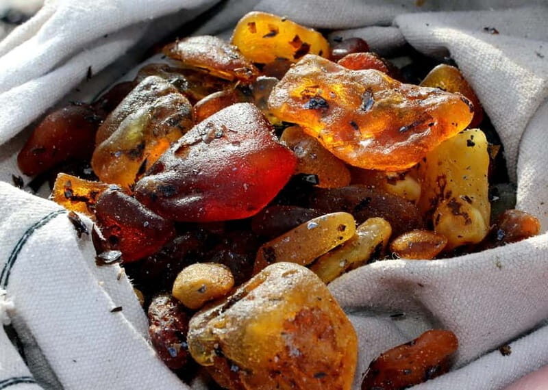 Private Tour: Amber Catching in Curonian Spit from Klaipeda - Introduction