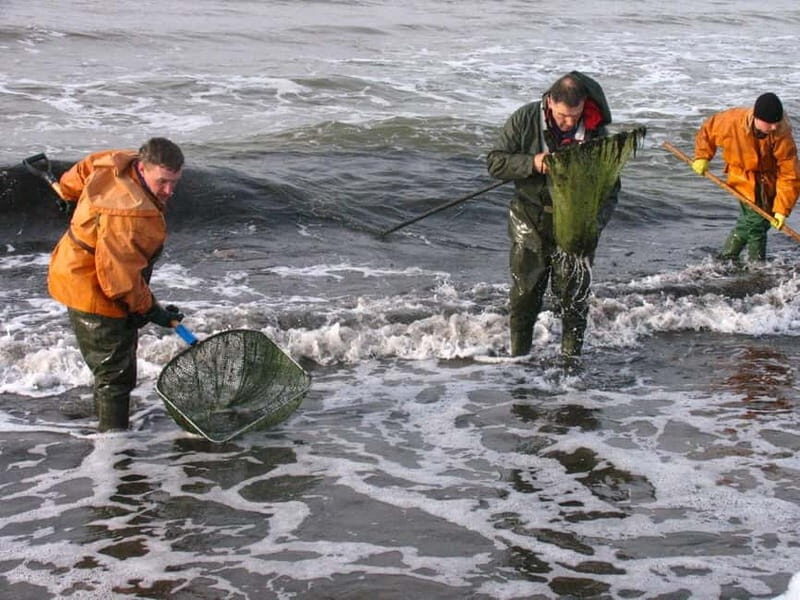 Private Tour: Amber Catching in Curonian Spit from Klaipeda - What Makes This Tour Stand Out