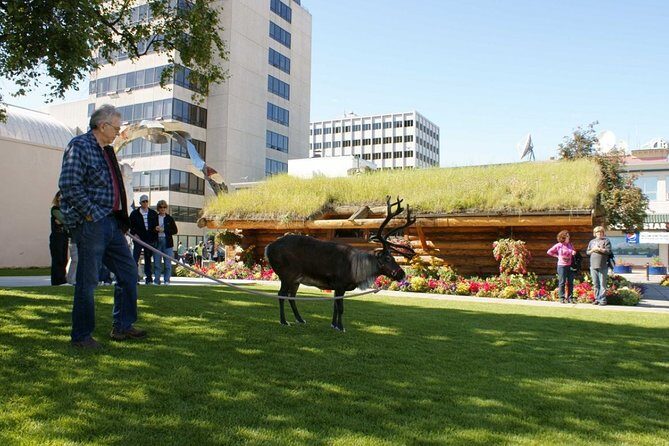 Private Tour: Anchorage 3-Hour Tour - Frequently Asked Questions