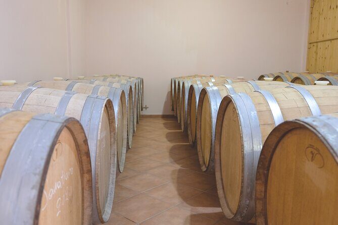 Private Tour and Tasting at Zeginis Winery - Why This Tour Stands Out