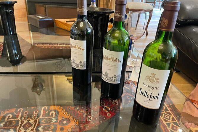 Private Tour and Tastings in St-Emilion: Grands Crus and Monuments - Who Should Consider This Tour?