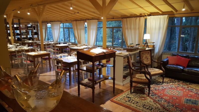 Private Tour and Wine Tasting at Castle Wineries in Chianti - The Experience: What to Expect from Start to Finish