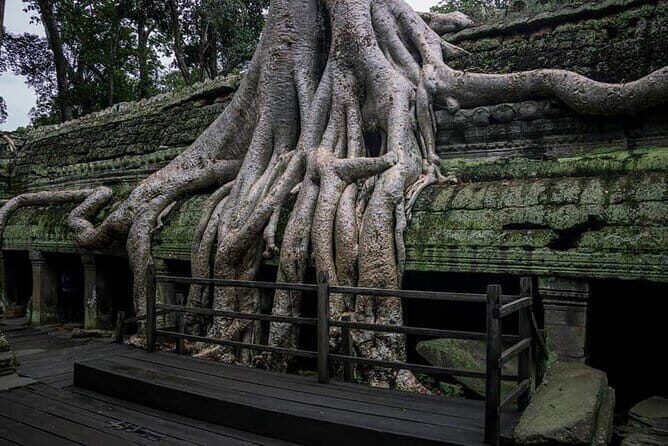 Private Tour-Angkor Complex Discovery - An In-Depth Look at the Angkor Complex Discovery Tour