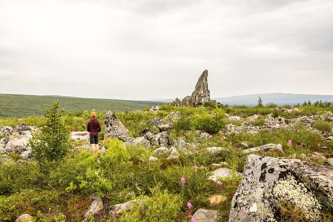 Private Tour Arctic Circle Expedition from Fairbanks - Exploring the Arctic Circle from Fairbanks: A Practical Review