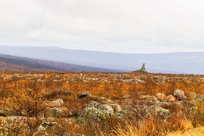 Private Tour Arctic Circle Expedition from Fairbanks - Why This Tour Works Well